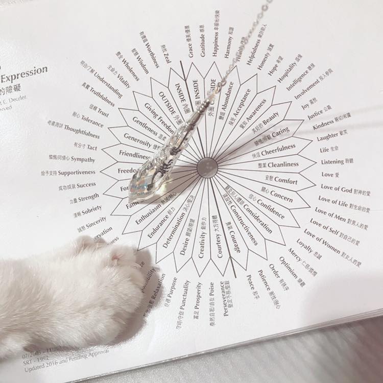 SRT / SpR 服務項目及收費說明 – Karma Balance